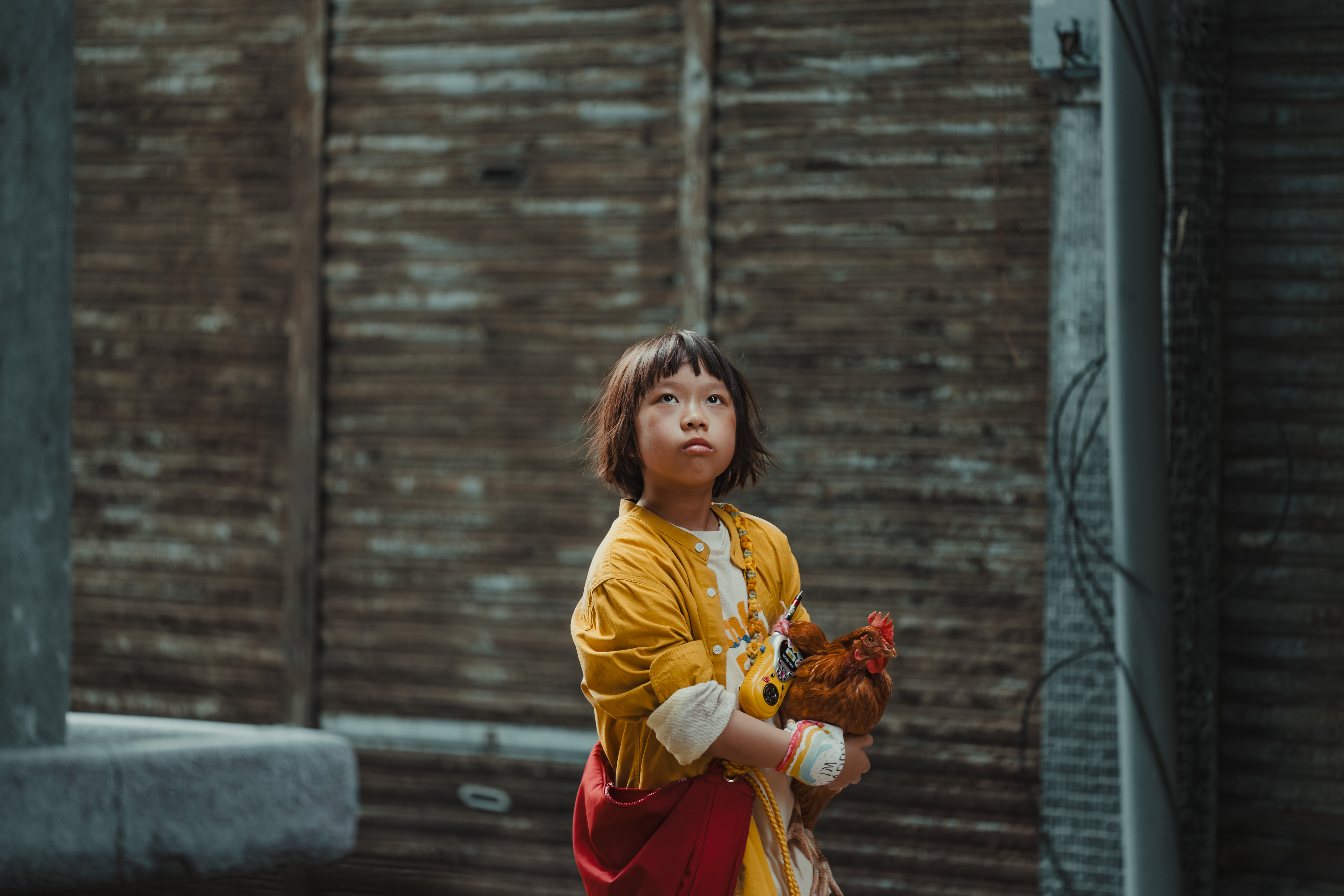 殺雞 | 高雄拍 1 - 2024 高雄電影節